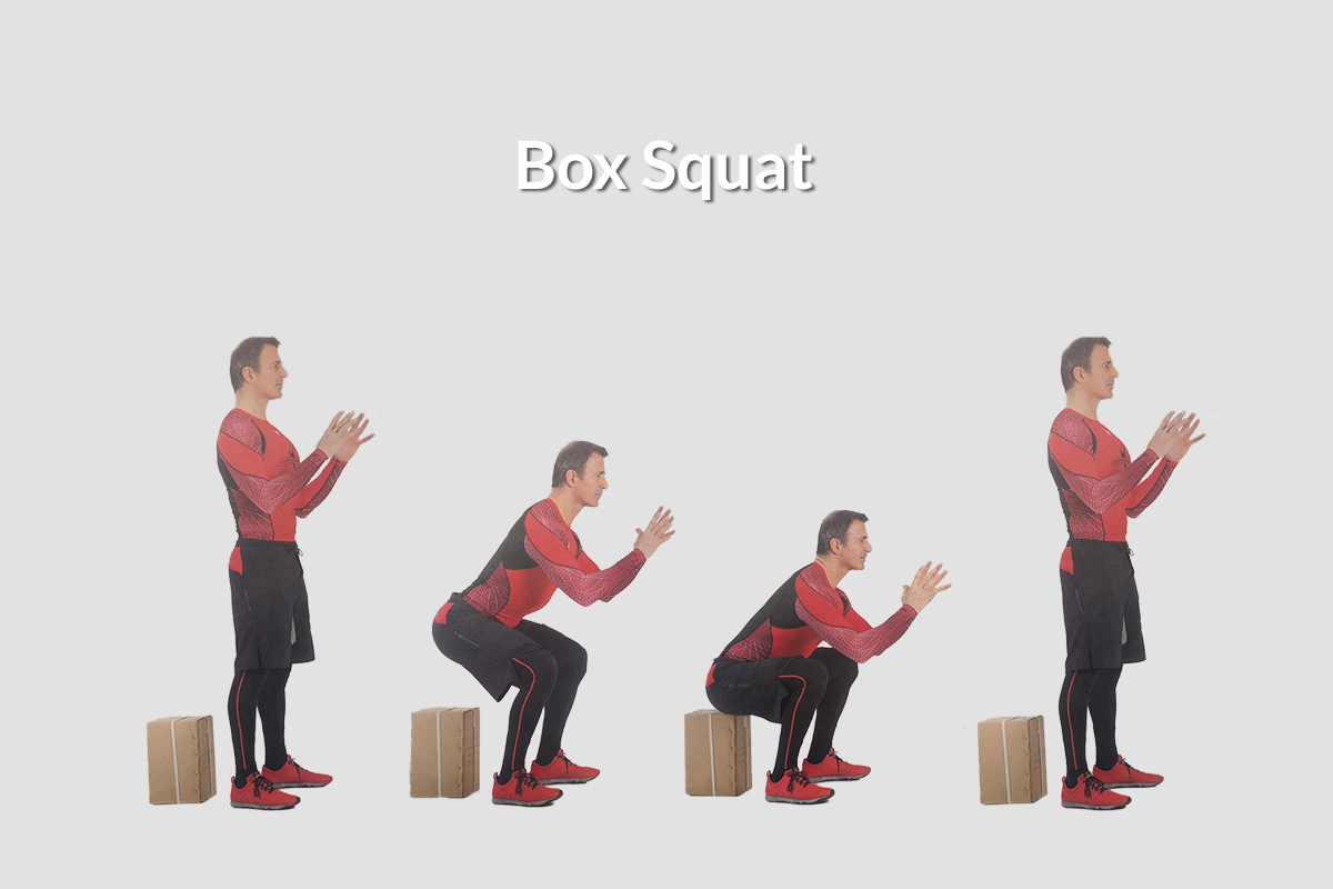 Box Squat - Functional Training School