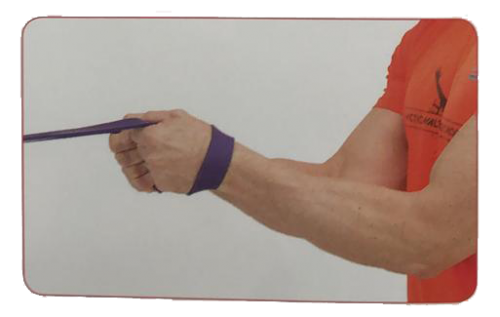 Rubber band - Functional Training School